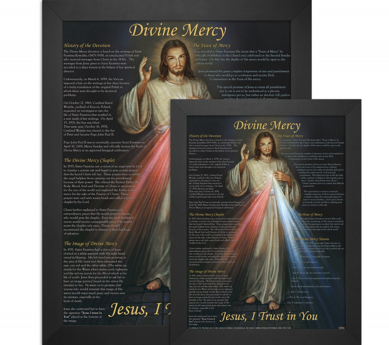 Divine Mercy Explained Poster - Catholic to the Max - Online Catholic Store
