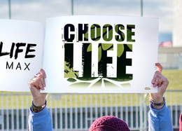 Choose Life Waterproof Signs (Pack of 12) - Catholic to the Max ...
