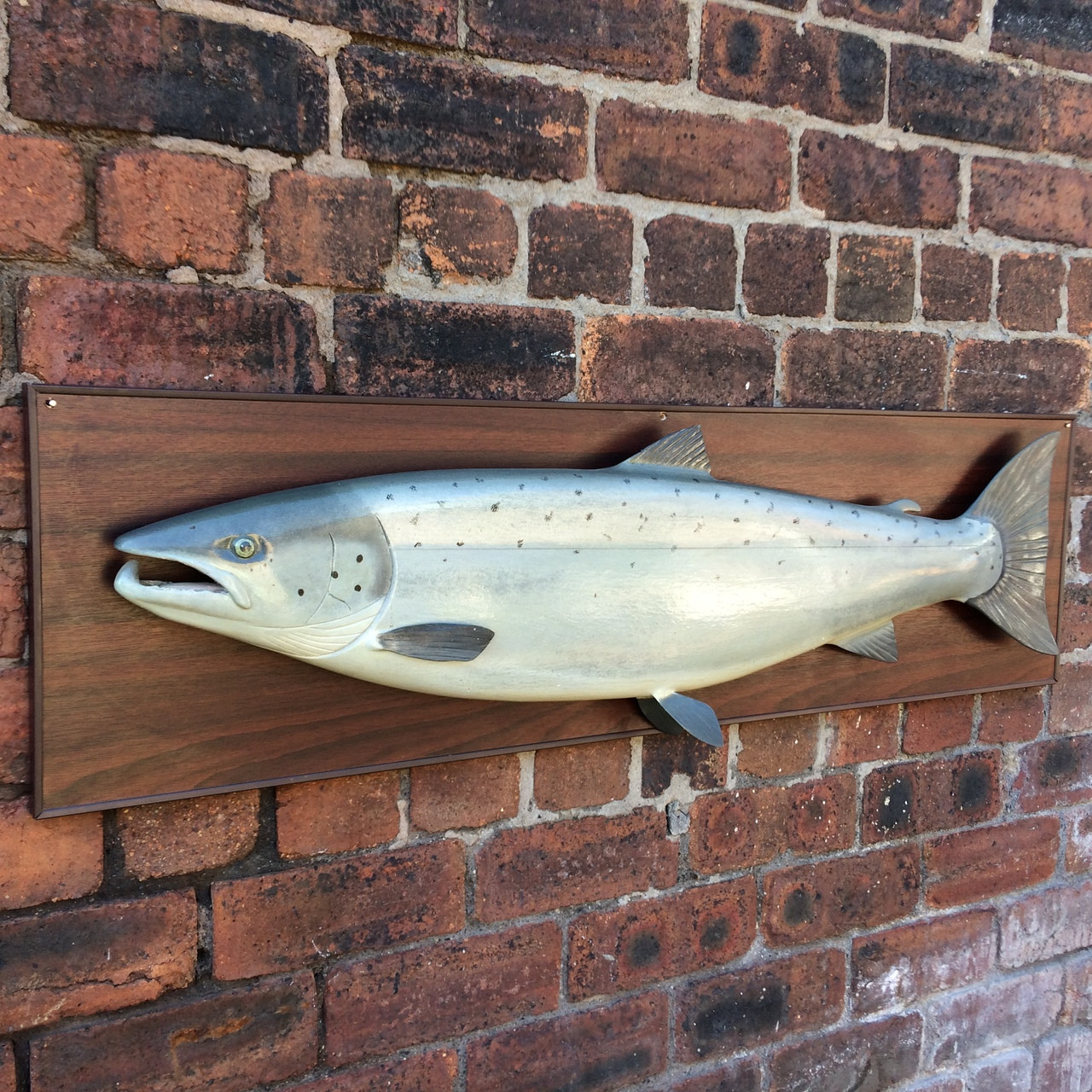 ** SOLD OUT ** Small painted carved wood Salmon display mounted on ...