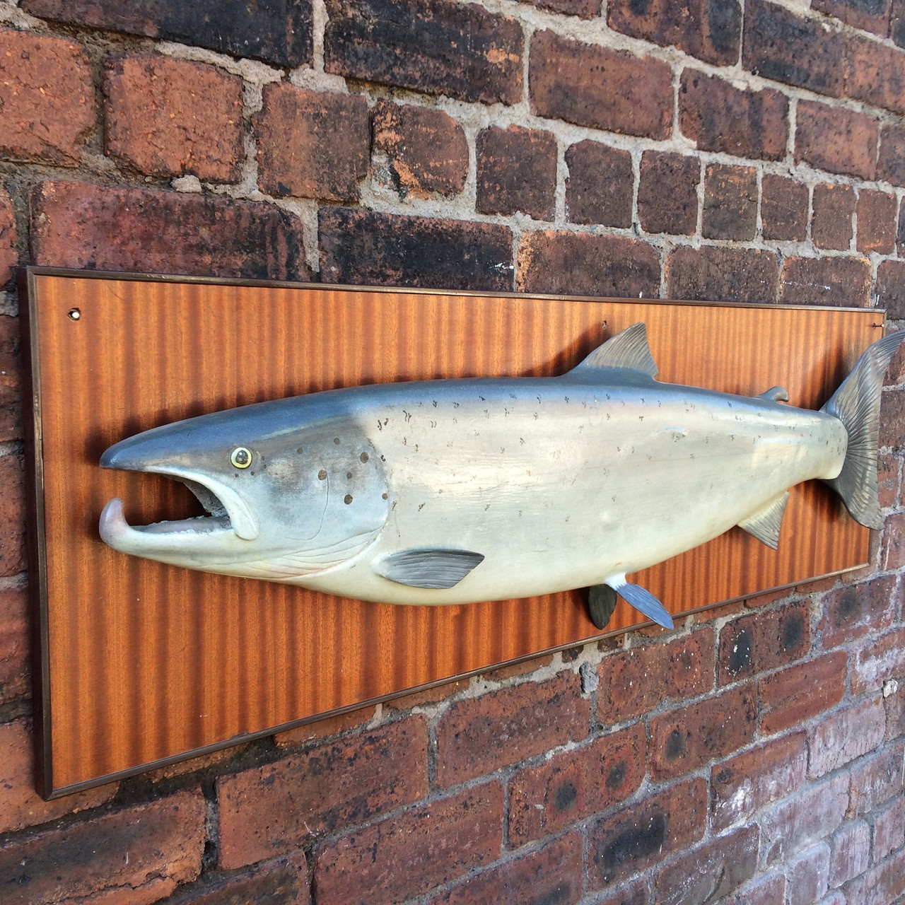 ** SOLD OUT ** Medium painted carved wood Salmon display mounted on ...