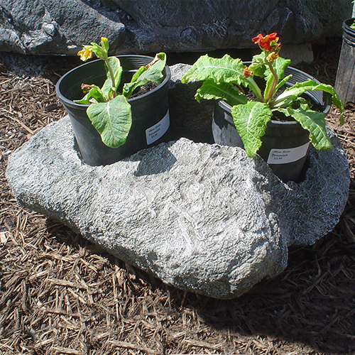 Large Rock Planter - Athena Garden