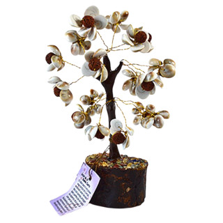 Good Luck Tree - The Ancient Sage Metaphysical Supply Store