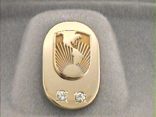 15 Year Lapel Pin or Charm - J Brandt Recognition