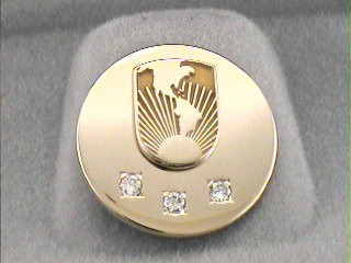 20 Year Lapel Pin or Charm - J Brandt Recognition