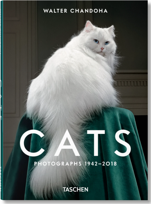 Cats, Pocket Edition - Detroit Institute of Arts Museum Shop