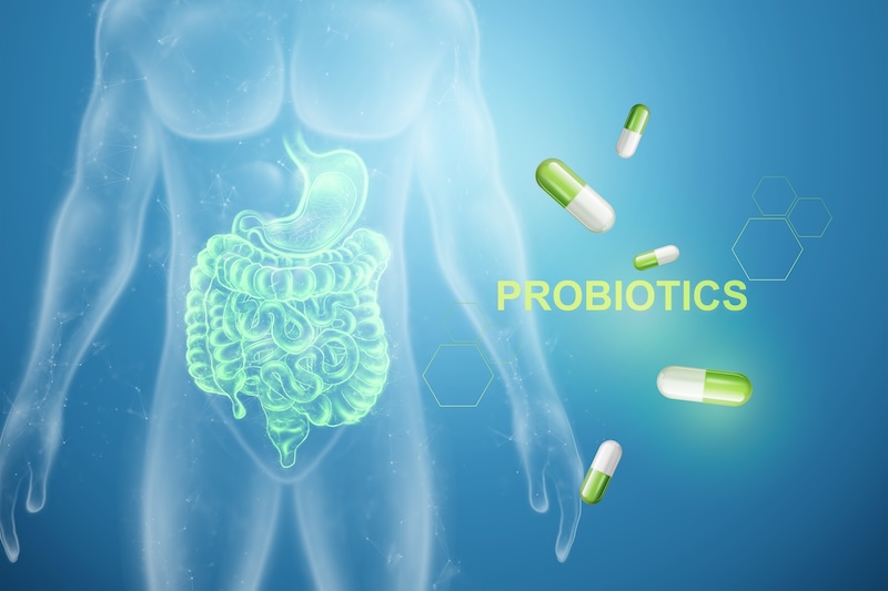 Probiotics and Gut Health: How They Impact Your Overall Well-being ...