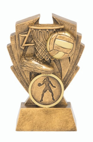 Netball - Hawk Series - Trophy Innovations