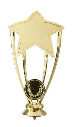 Star - Gold - Trophy Innovations