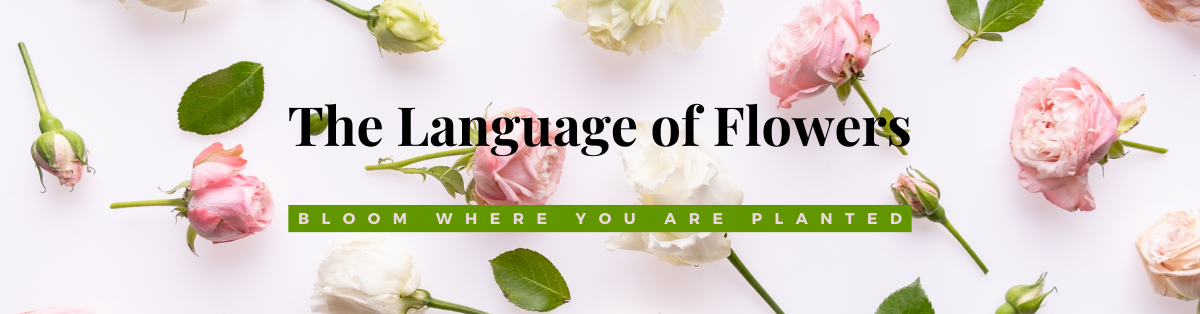 Express Feelings with the Language of Flowers - Stardust Memorials