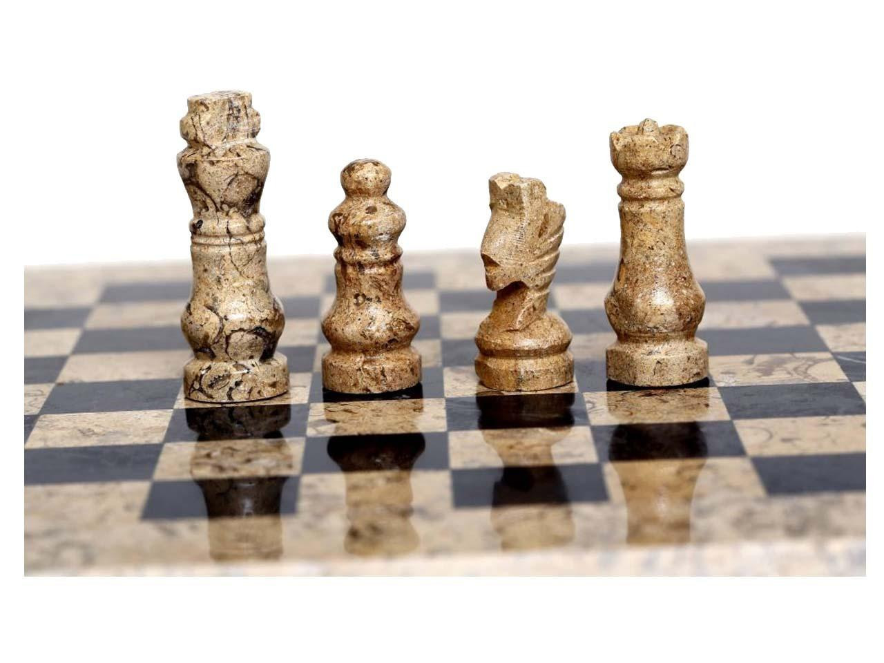 Stone Chess Set - Marble Fossil Coral & Black Marble