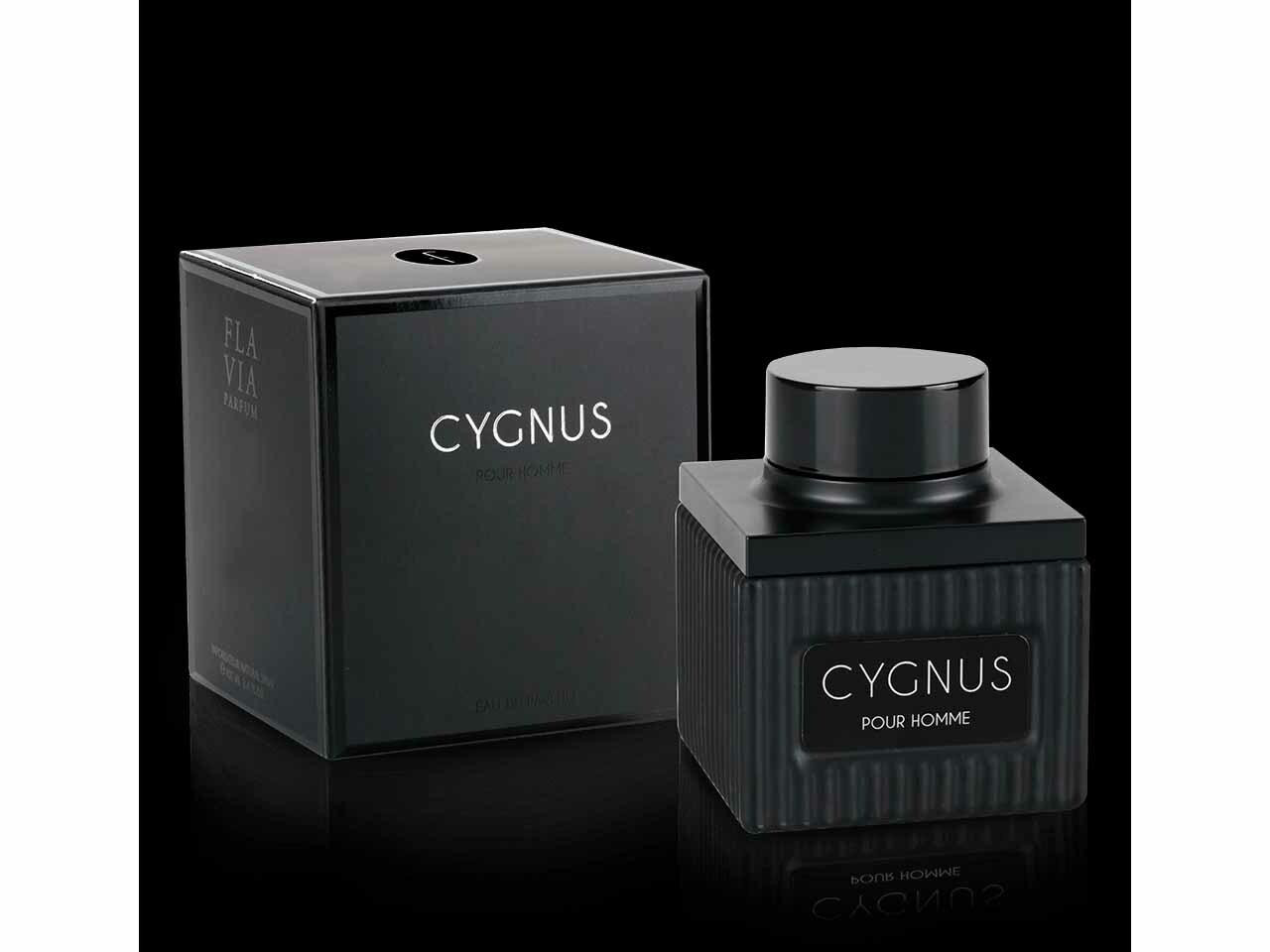 "CYGNUS MEN Perfume - Perfect Birthday Gift | 100ml"
