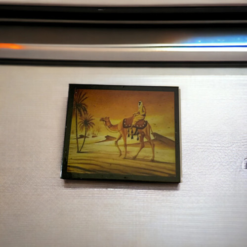 Qatar Camel Rider Wooden Fridge Magnet Set , Camel Keepsake