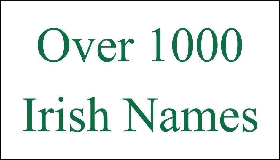 Heavy Duty Outdoor Irish Coat of Arms Flag - Ireland 3'x5'