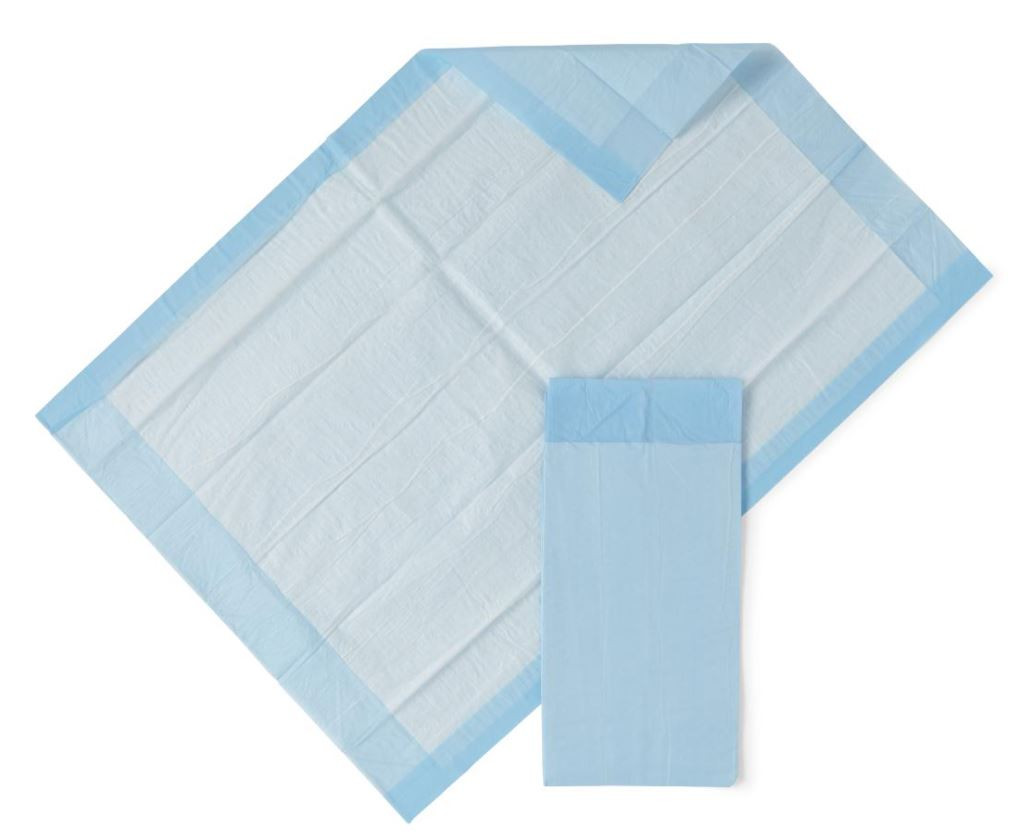 Protection Plus Underpad Economy 58Cm X 91Cm, Carton/150 - Health ...