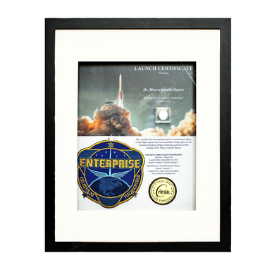 Enterprise Flight Deluxe Flight Capsule Display