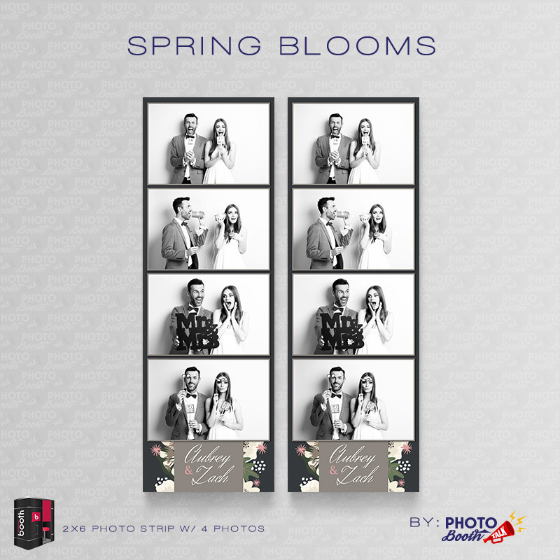 Spring Blooms 2x6 4 Images - CI Creative - Darkroom Templates