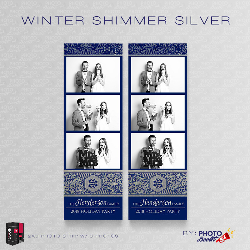 Winter Shimmer Silver 2x6 3 Images - CI Creative - Darkroom Templates