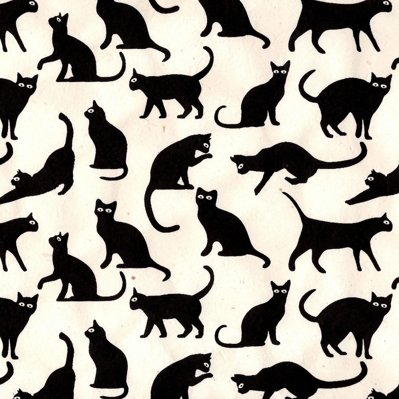 Lotka Paper, Black Cats - FLAX art & design