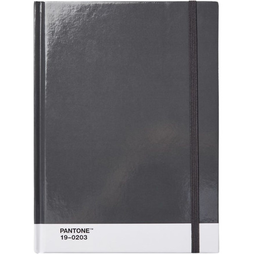 Pantone Notebooks - FLAX art & design
