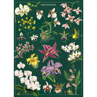 Cavallini Paper, Orchidea - FLAX art & design