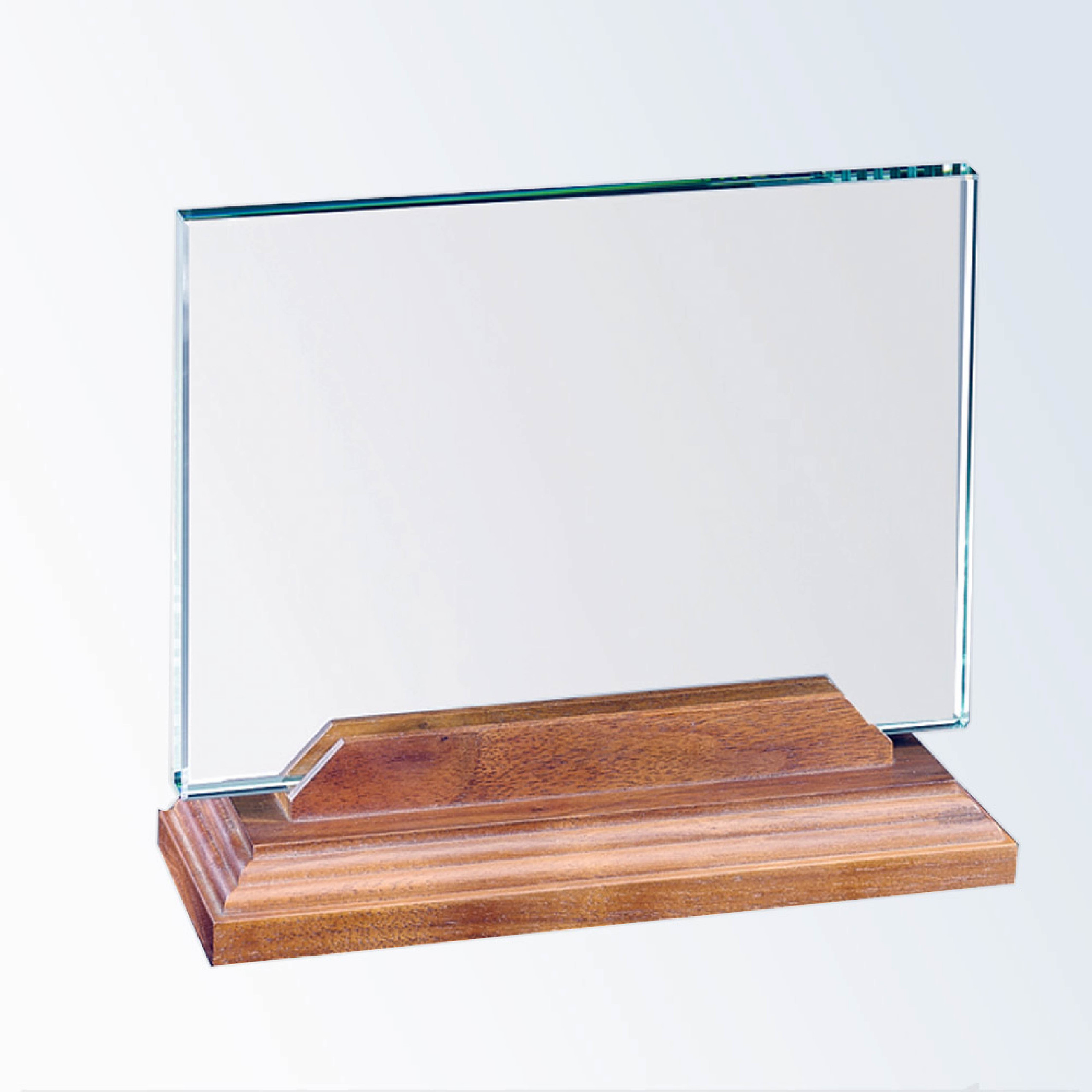 Physician's Awards | Top Doctor Award | Glass Awards | Glass Etching Fever
