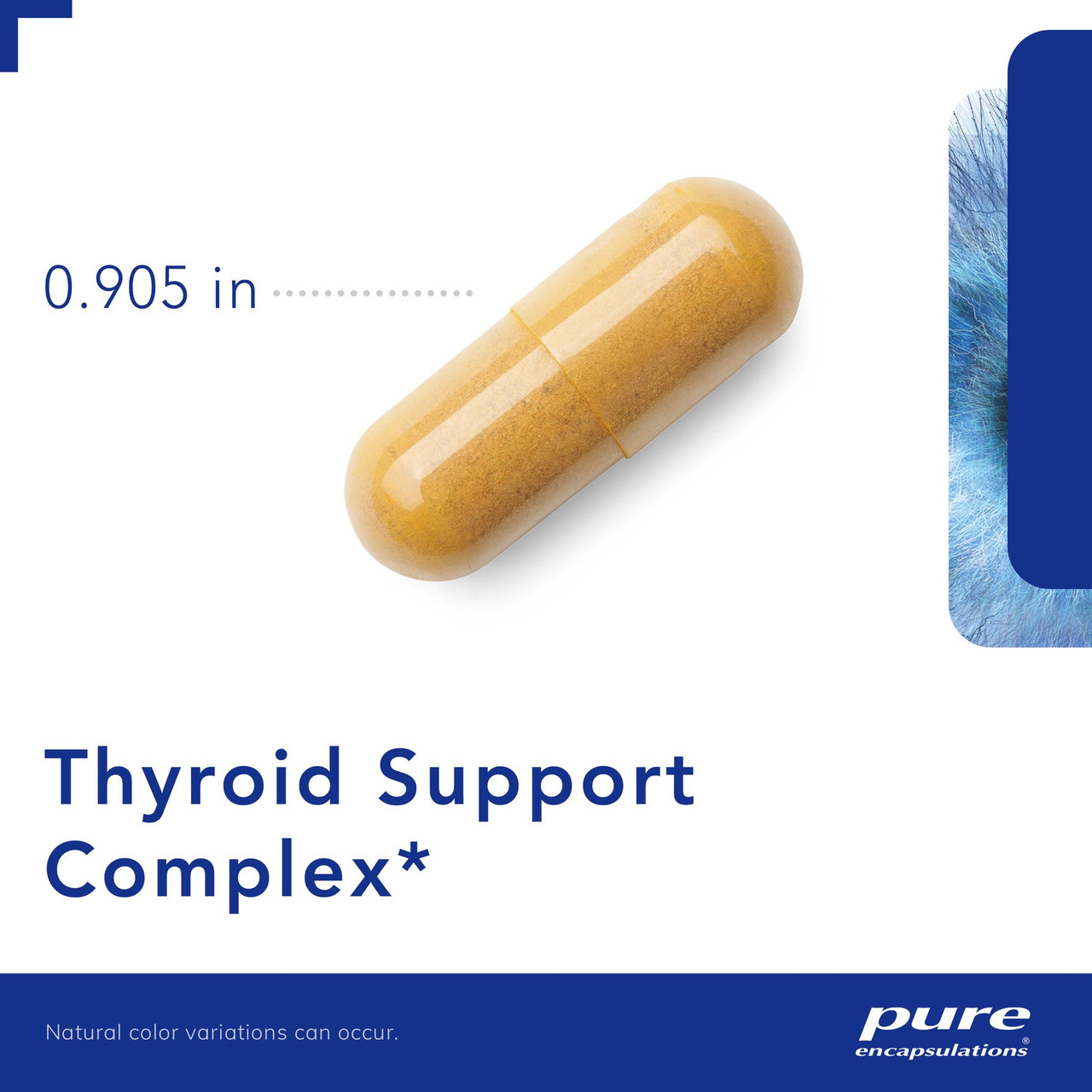 Pure Encapsulations Thyroid Support Complex* - 60 capsules - Free 2 to ...