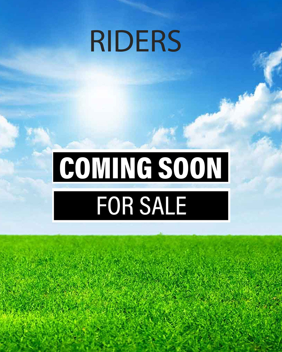 Collective Realty Co. Riders - Champions Printing