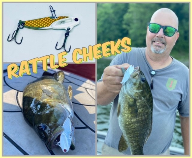 Fitt Premium Lures