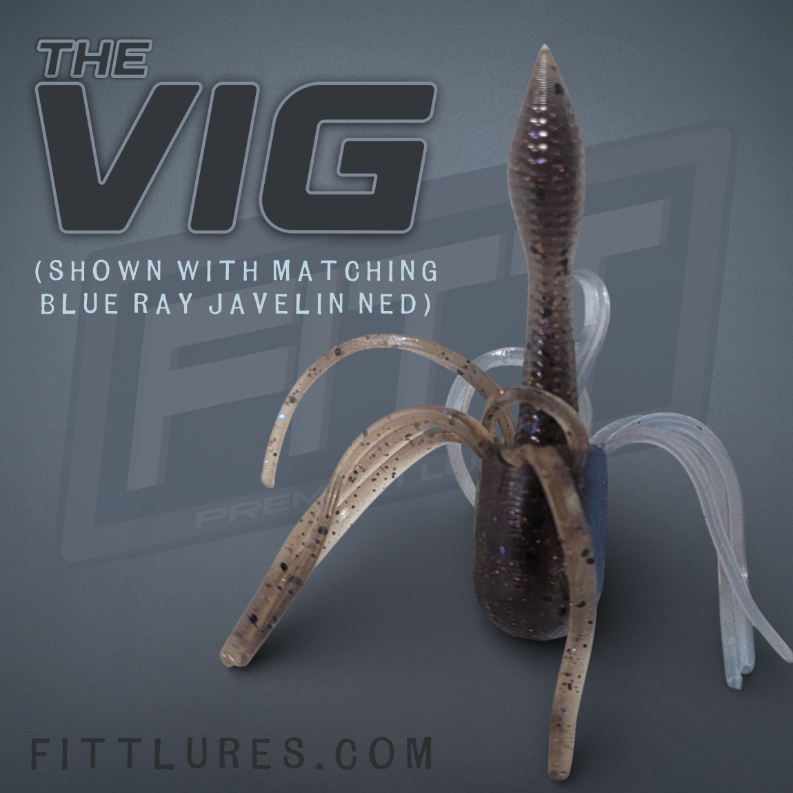FITT Lures