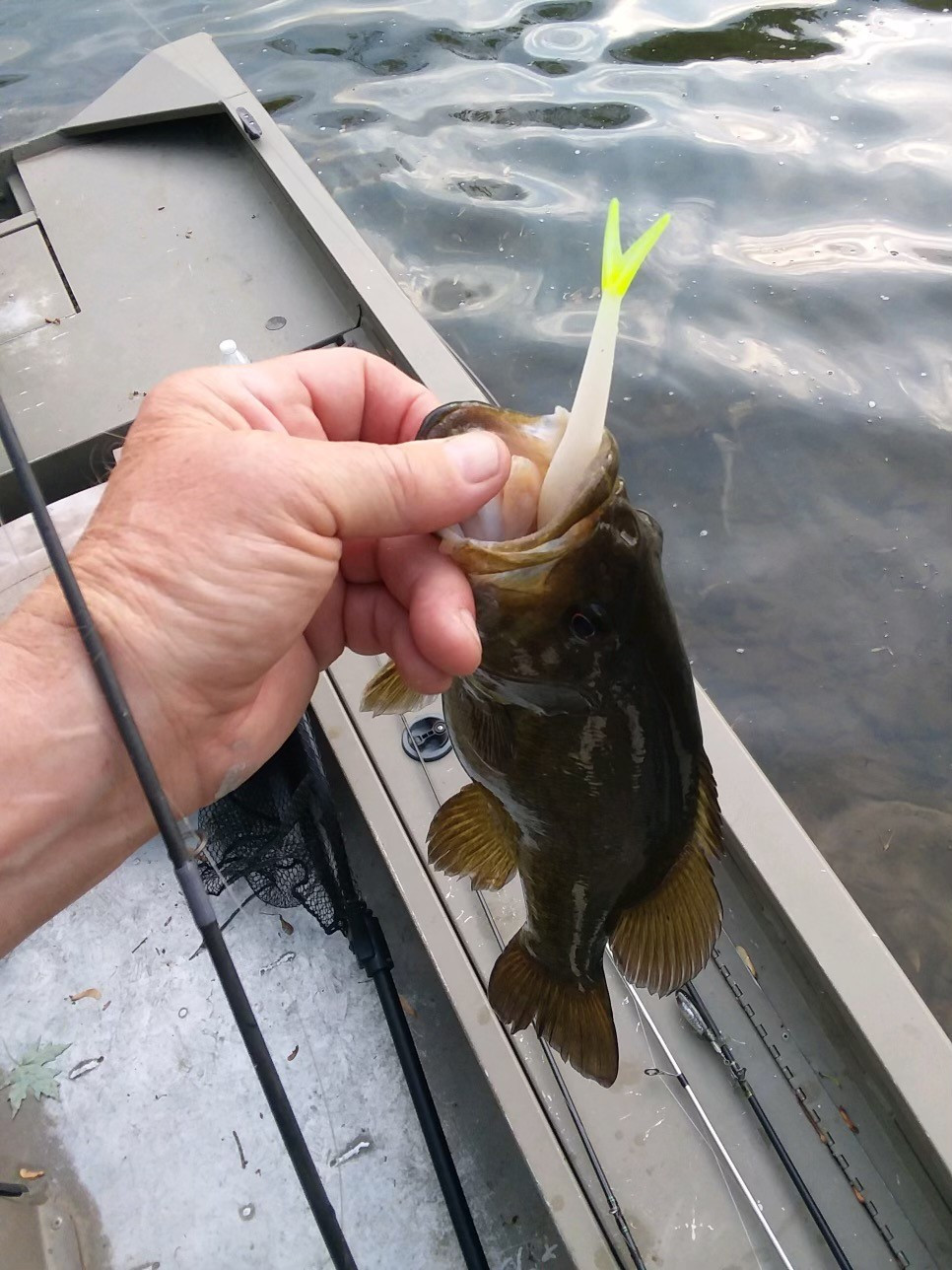 Fitt Premium Lures
