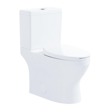 ISAAC EcoMax™ Dual Flush Toilet in Metro White