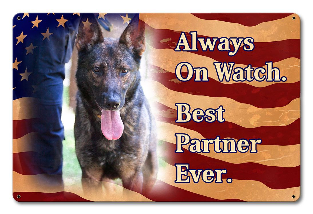 Always On Watch 18x12: Vigilant Metal Sign