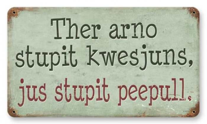 Retro No Stupid Questions Metal Sign 14 x 8 Inches