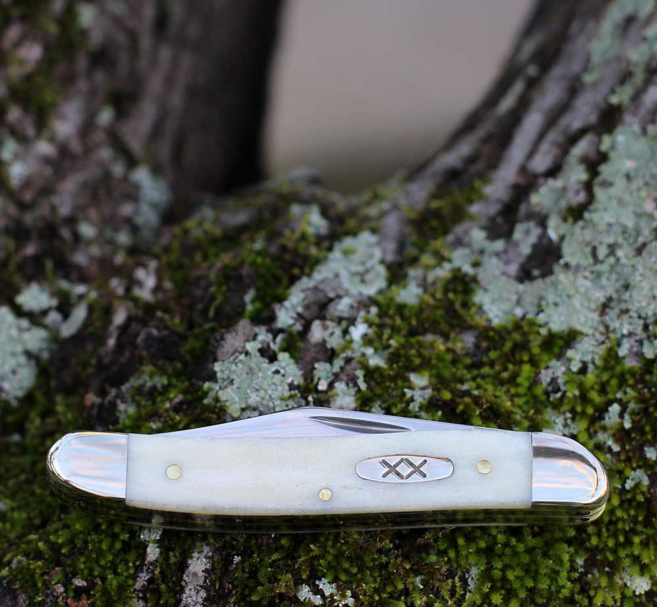 Case Med Texas Jack First Production Run 93315| Smooth Natural Bone ...
