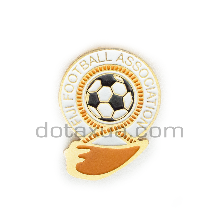 Fiji pin
