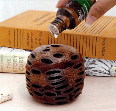 Medium Aroma Banksia Pod Diffuser