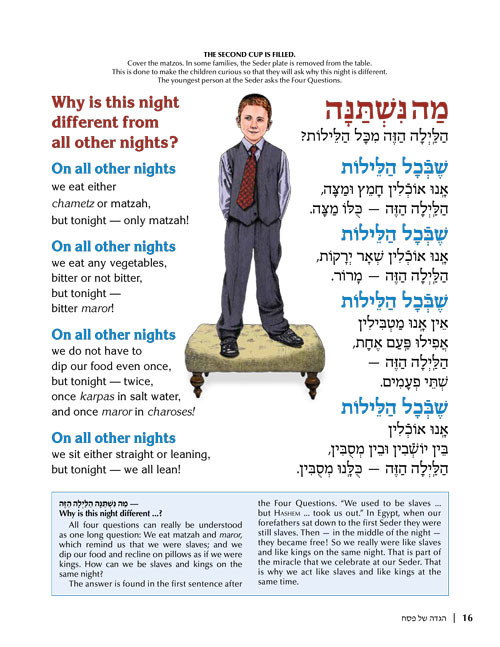The Illustrated Passover Haggadah - YourHolyLandStore