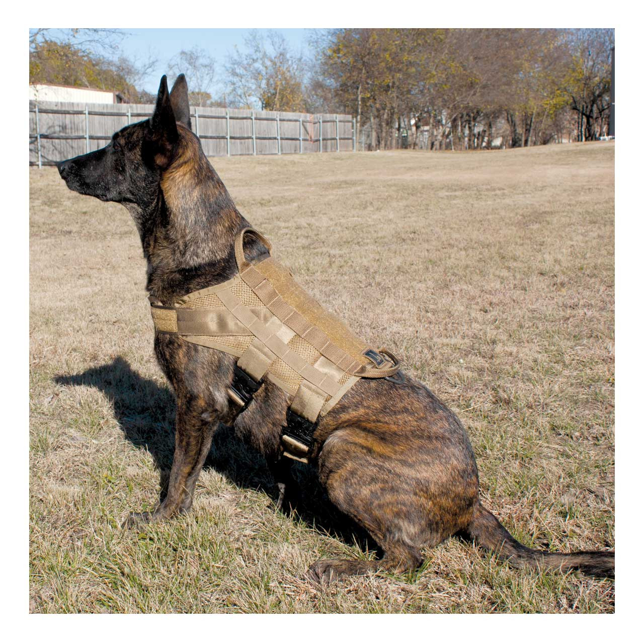Patriot K9 Vest