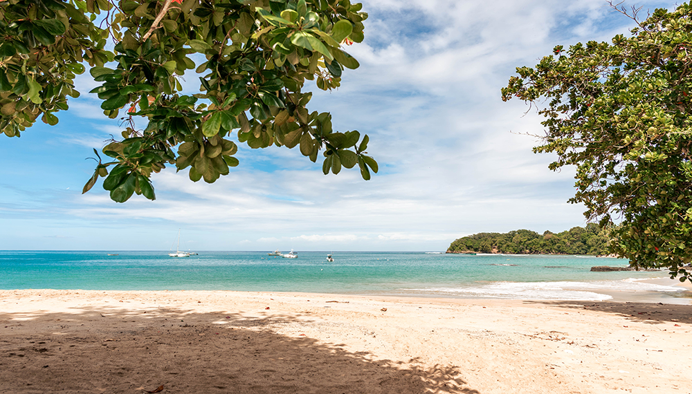 Mount Irvine Bay Resort Day Pass for Cruisers | Resort for a Day