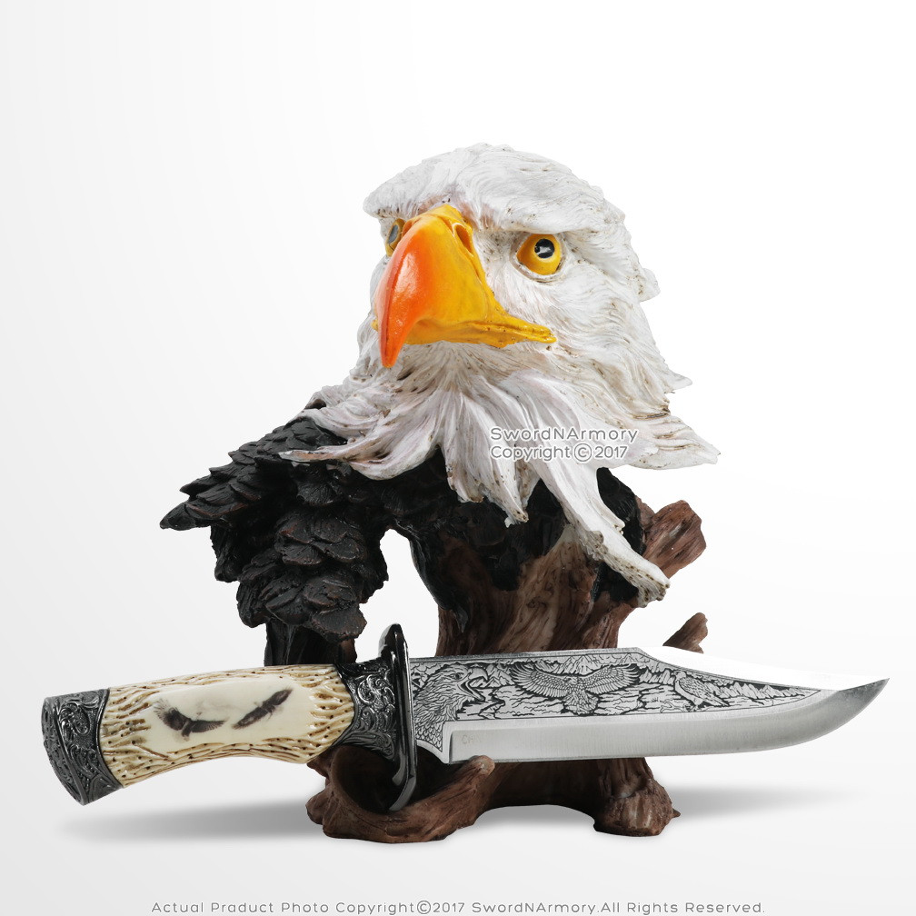 Eagle Bust Statue Display Stand with Stainless Steel Hunting Knife ...