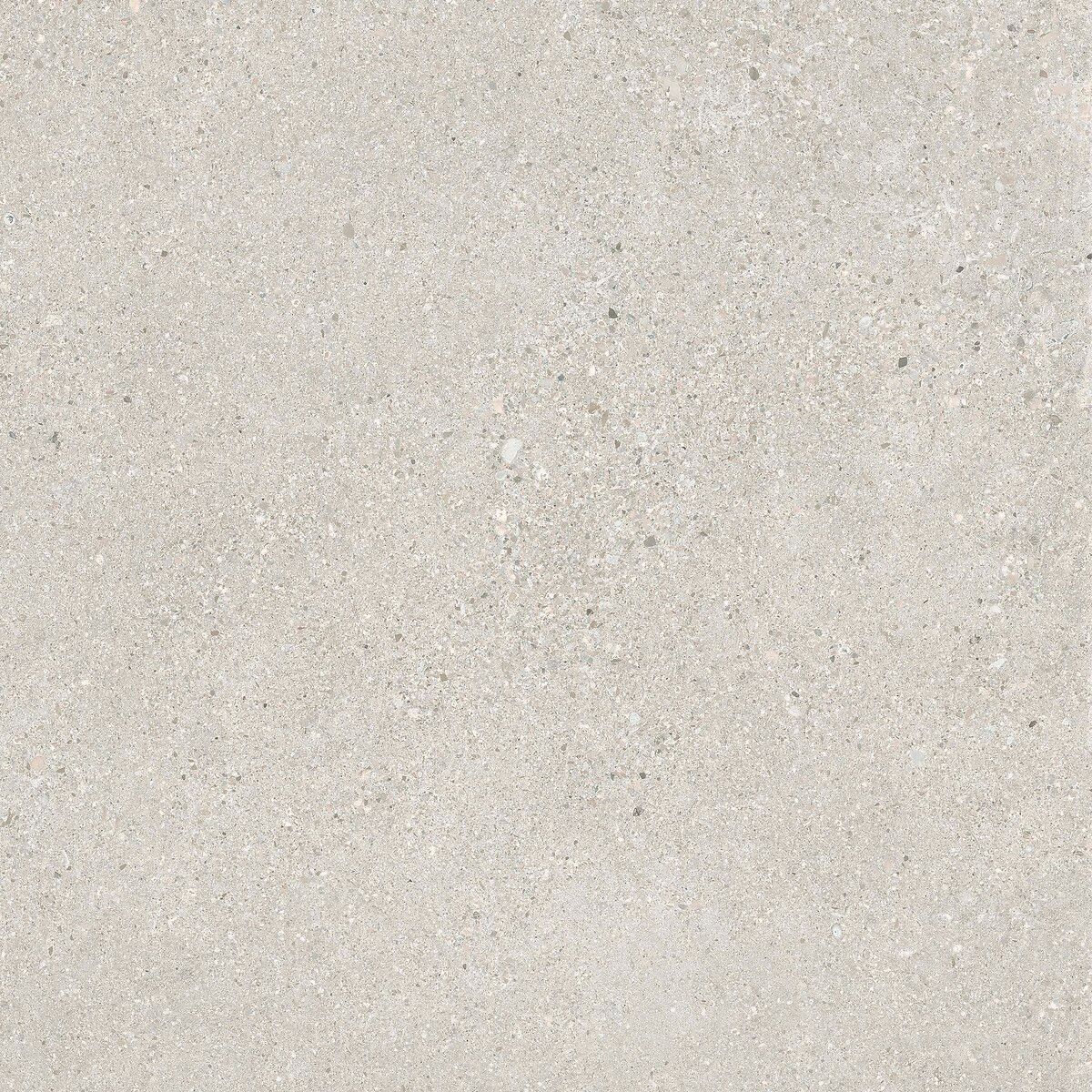 Homestone Grey XL Tiles 100x100cm | Tile Warehouse