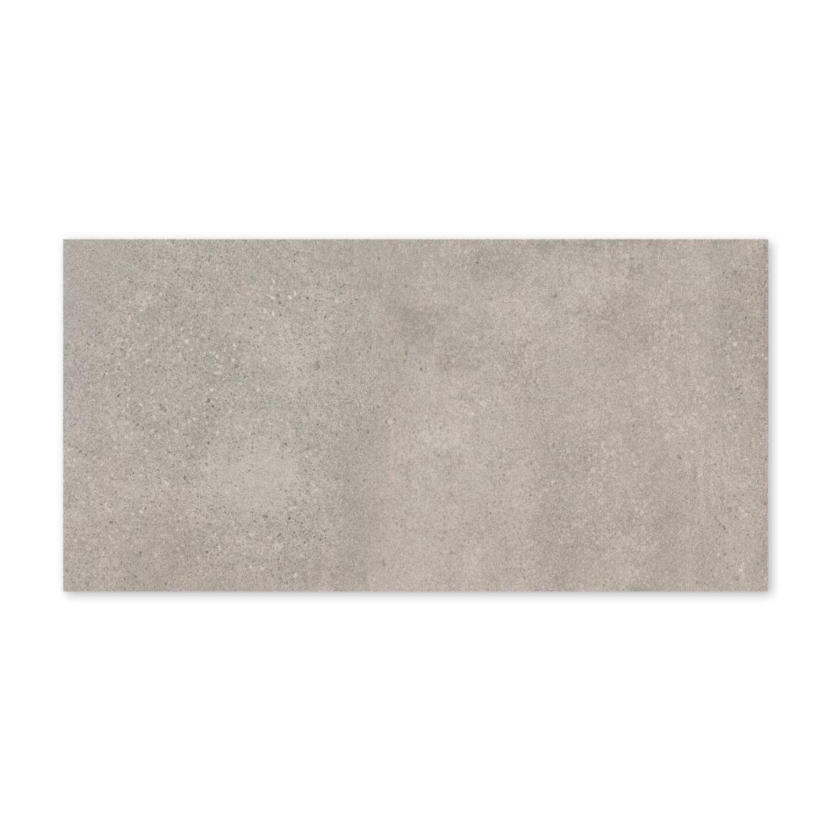 Paleo Grey Outdoor Porcelain Tiles 60x120cm | Tile Warehouse