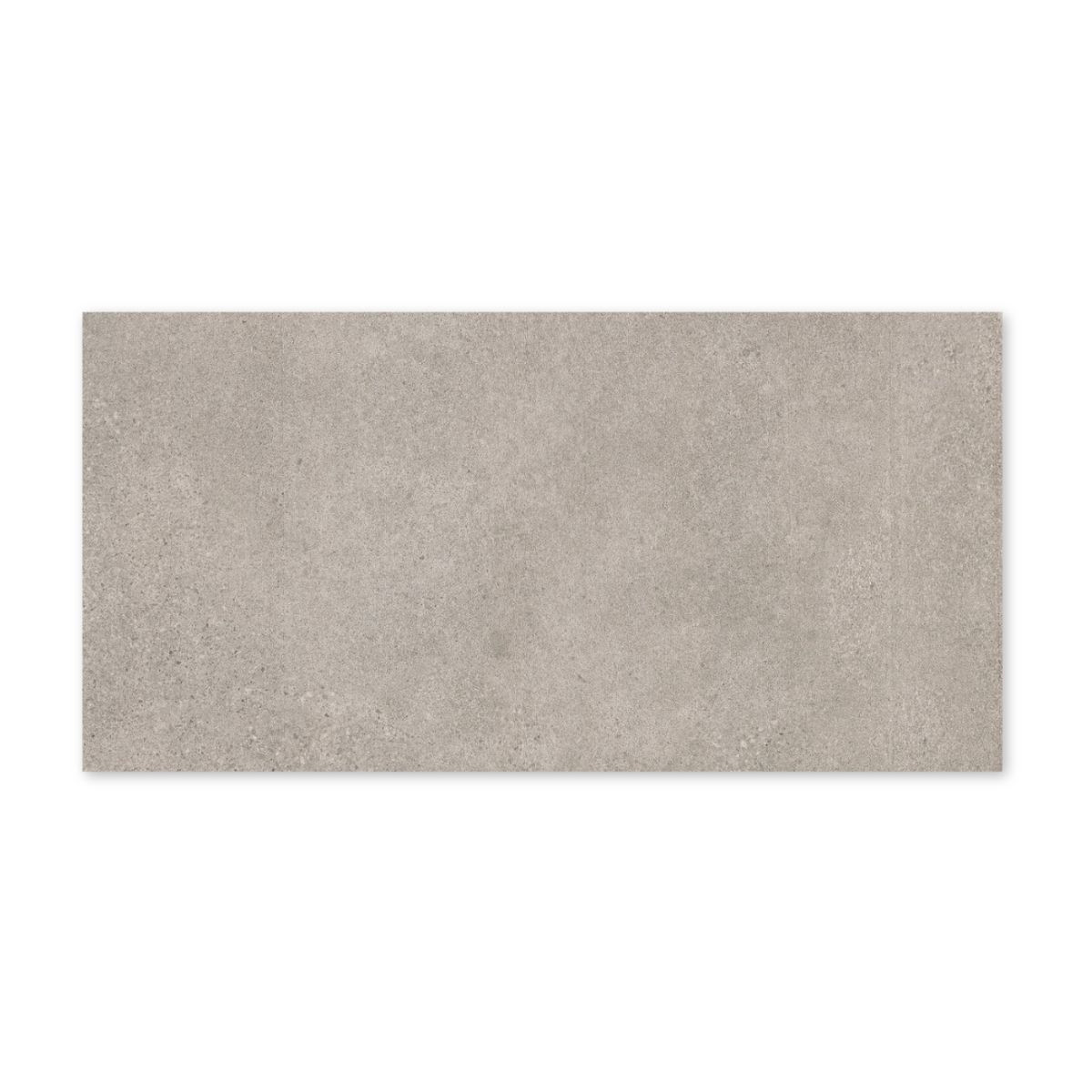 Paleo Grey Outdoor Porcelain Tiles 60x120cm | Tile Warehouse