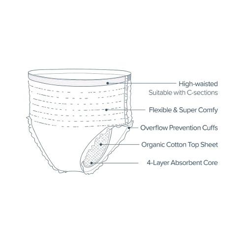 Disposable Postpartum & Maternity Underwear 10-pack | Postpartum Pants ...
