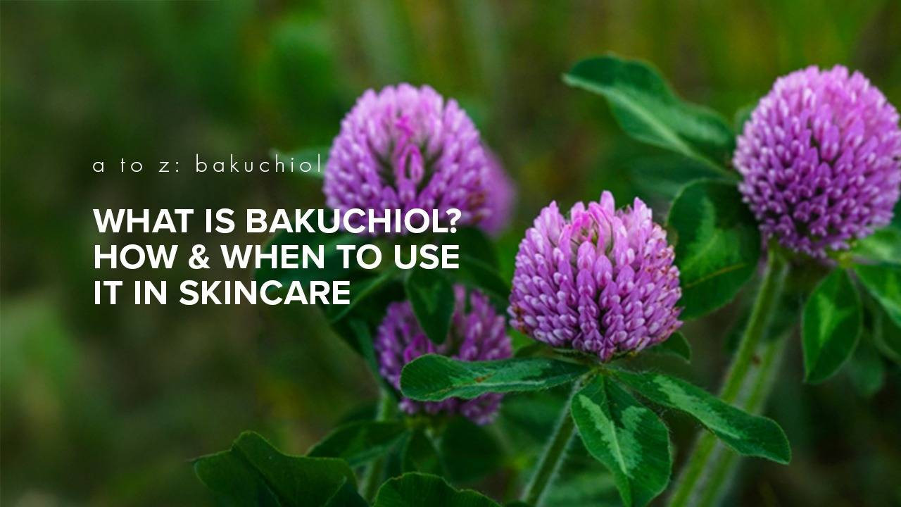 What is Bakuchiol? How & When to Use It in Skincare - The Organic Pharmacy