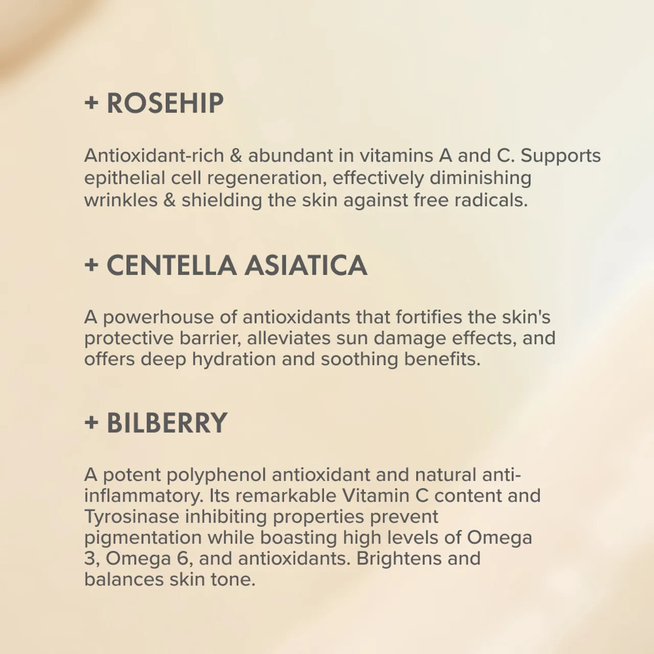 Rose Rejuvenating Face Cream | Anti-Aging, Hydrating & Brightening ...