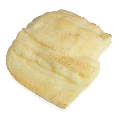 Fake Fish Filet