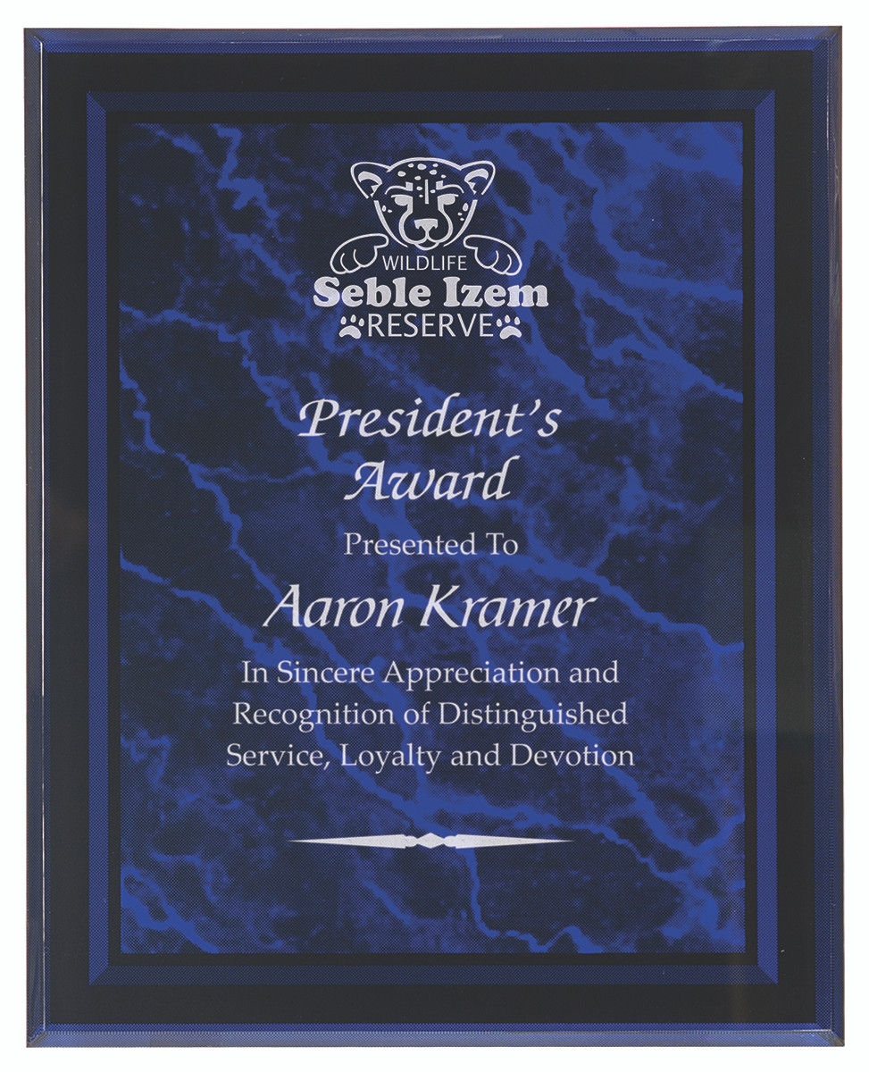 Blue Marble Plaque with Blue Acrylic Backdrop 325 - Engrave Tech