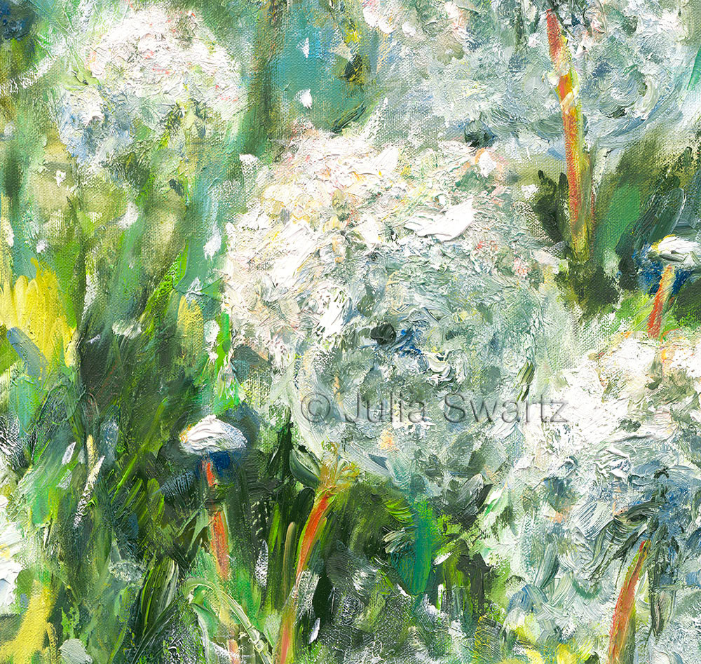 Dandelion Puffs - Oil painting - Julia Swartz Art Gallery