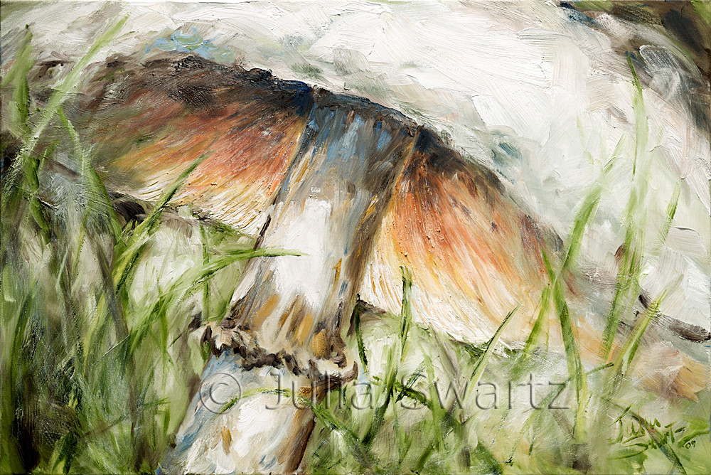 Whitecap Mushroom Oil Painting